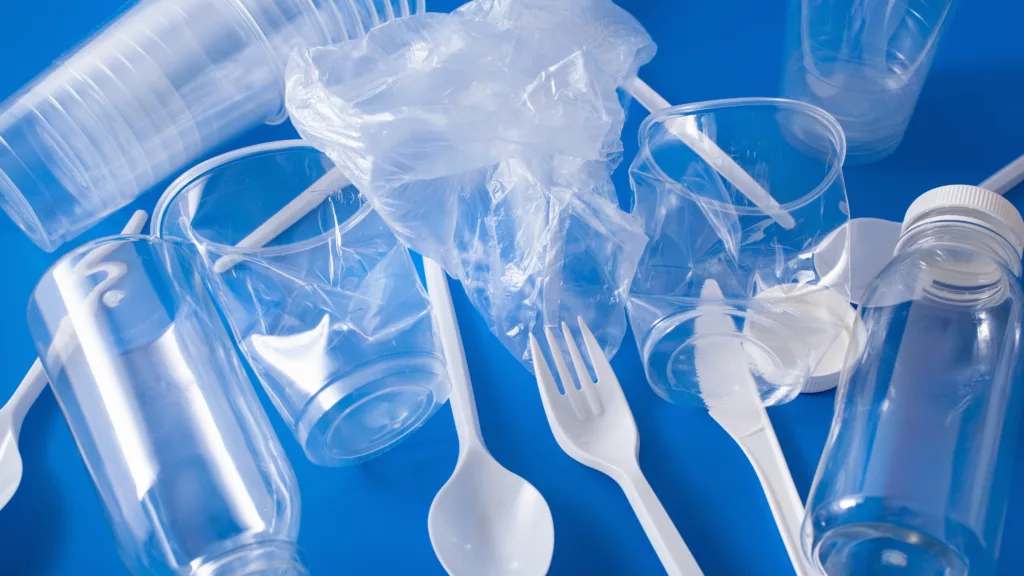Food packaging in the scope of single use plastics (SUP) directive ...