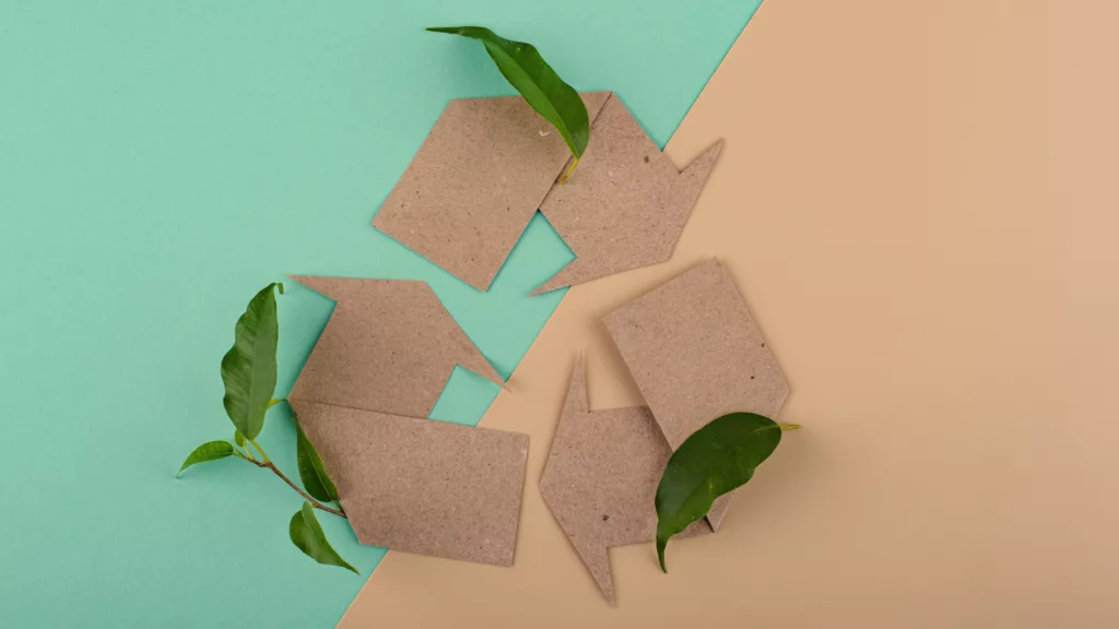 Bio-based and biodegradable packaging for a petroleum-free world - Lactips